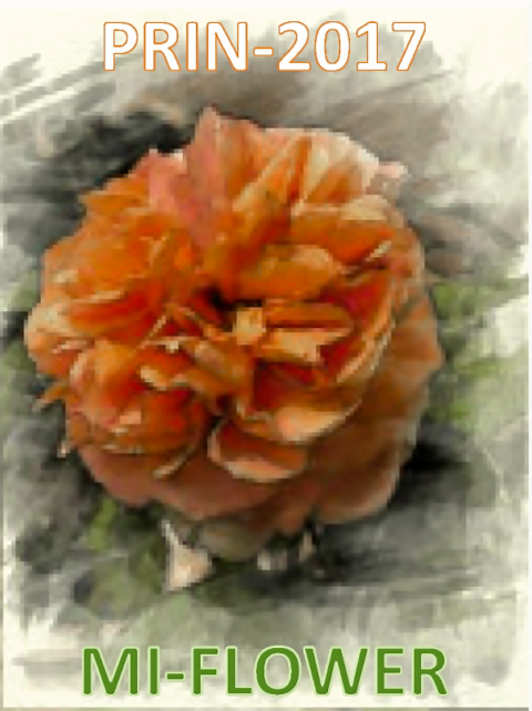 MI-FLOWER | IPCB CNR